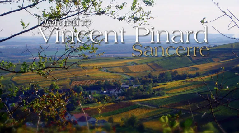 Domaine Vincent Pinard : une oeuvre familiale depuis 20 générations ...
