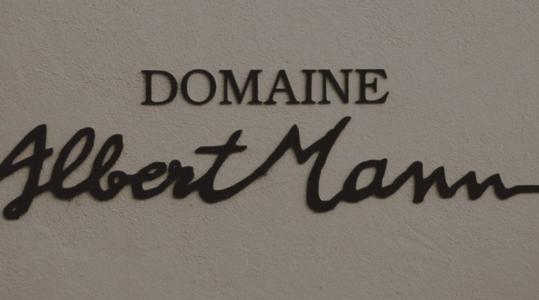 Dans les vignes : le Domaine Albert Mann, un partenaire de choix ...