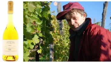 Tokaji 5 Puttonyons 2011 – Domaine Samuel Tinon – Chais d'œuvre