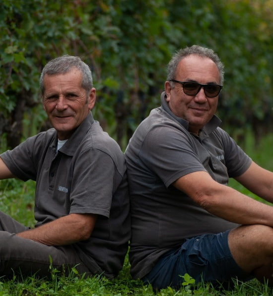 Montello e Colli Asolani Phigaia - 2021 - Serafini & Vidotto – Chais d ...