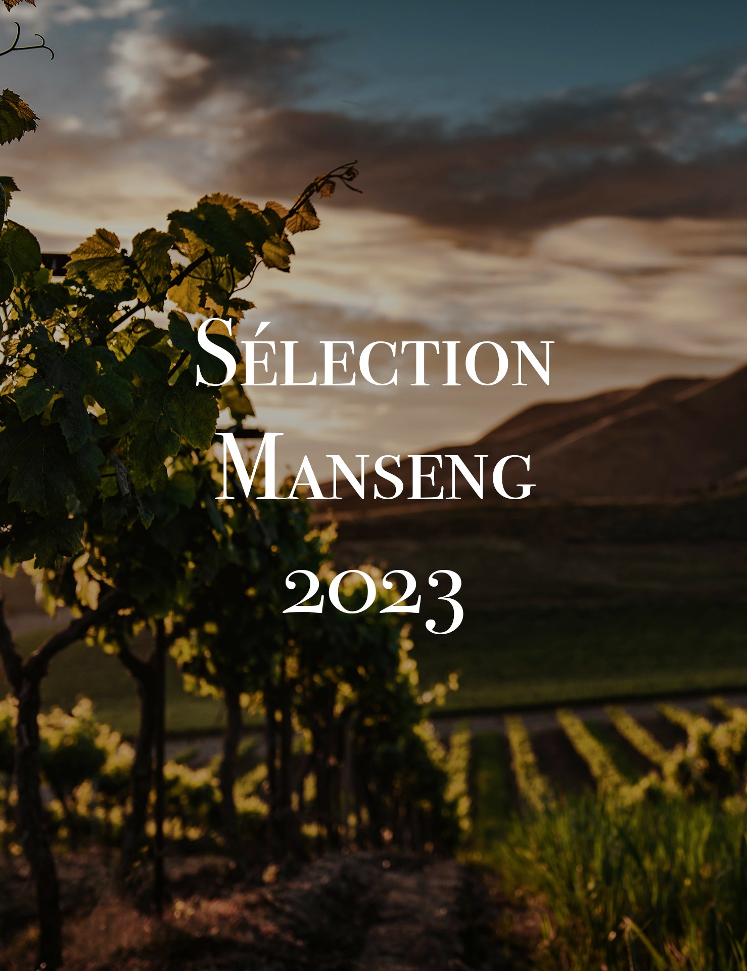 Sélection Manseng 2023 – Chais d'œuvre